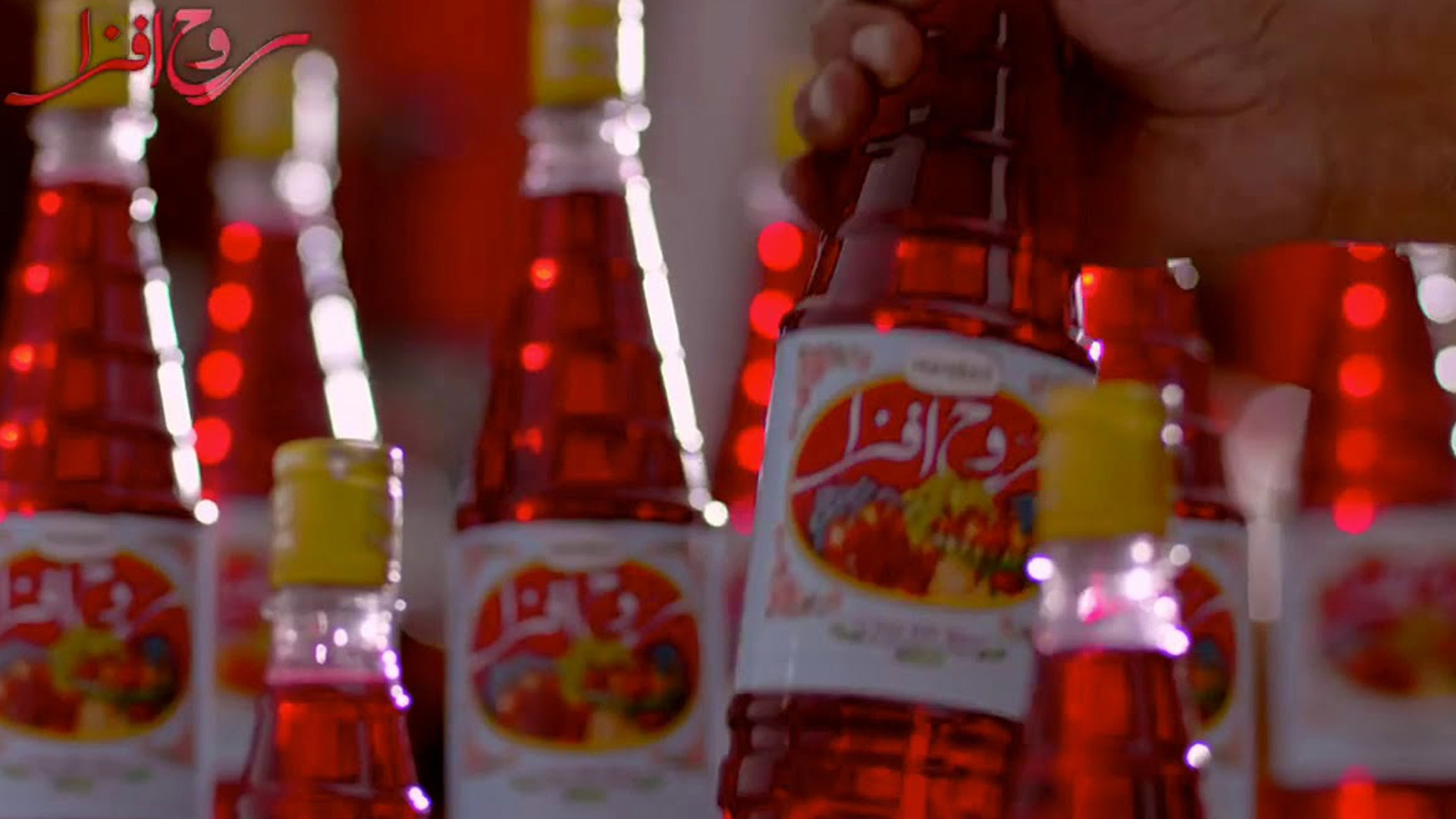 Mahmood and Sons | World's longest premium basmati rice